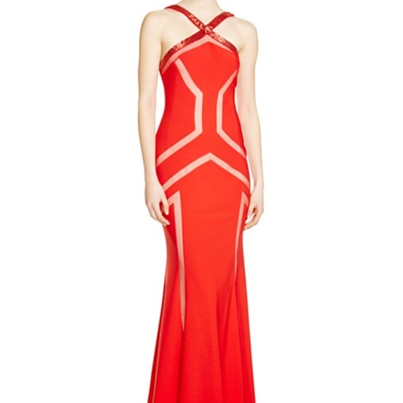 JS Collections | Dresses | Js Collections Ottomona Illusion Inset Gown ...